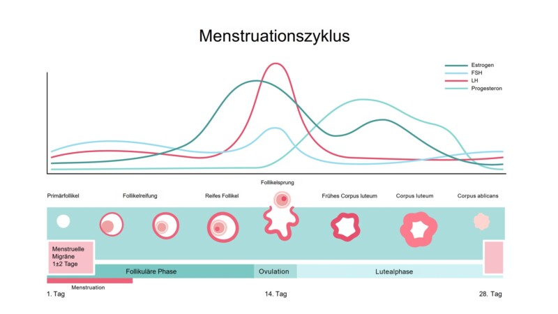 Menstrual migraines, birth control pills, contraception, nervous system ...